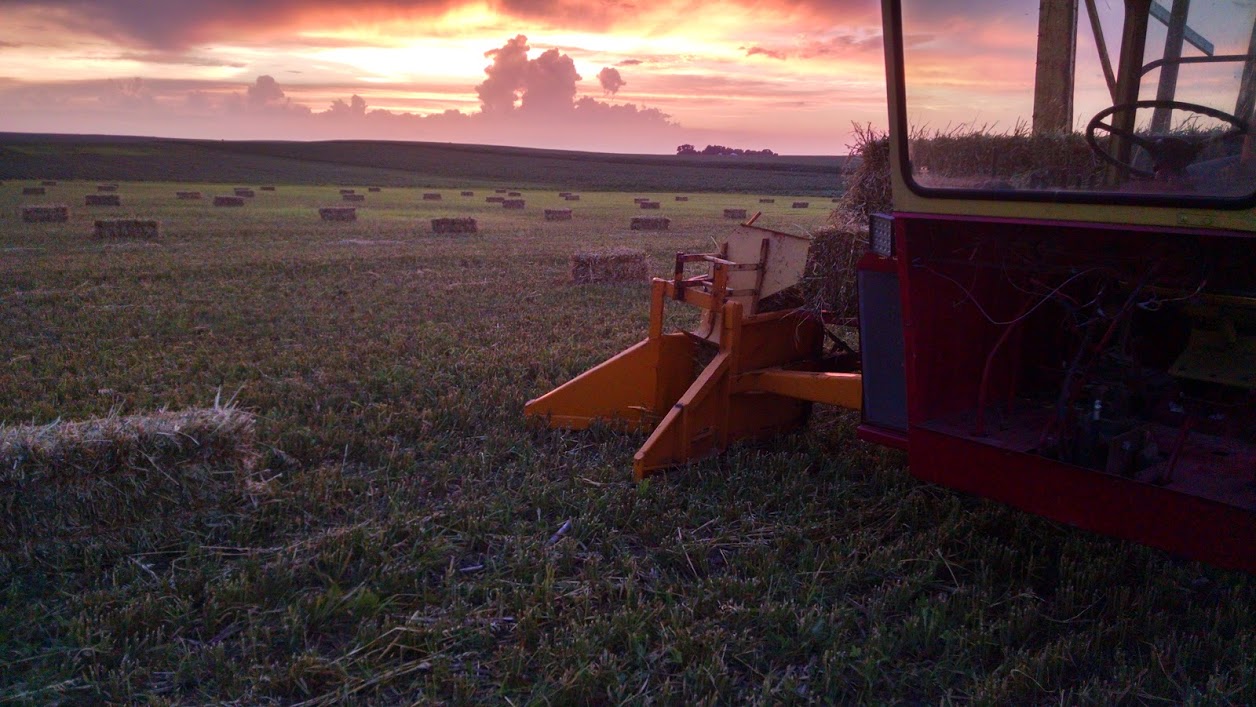 Organic Hay & Soy – 360 Heritage Farms